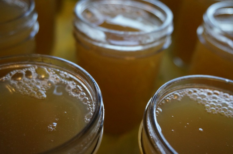 Green Grape Jelly – A Bright Ray of Hope