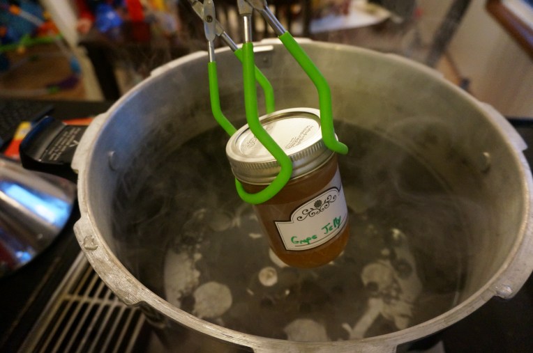 Green Grape Jelly – A Bright Ray of Hope
