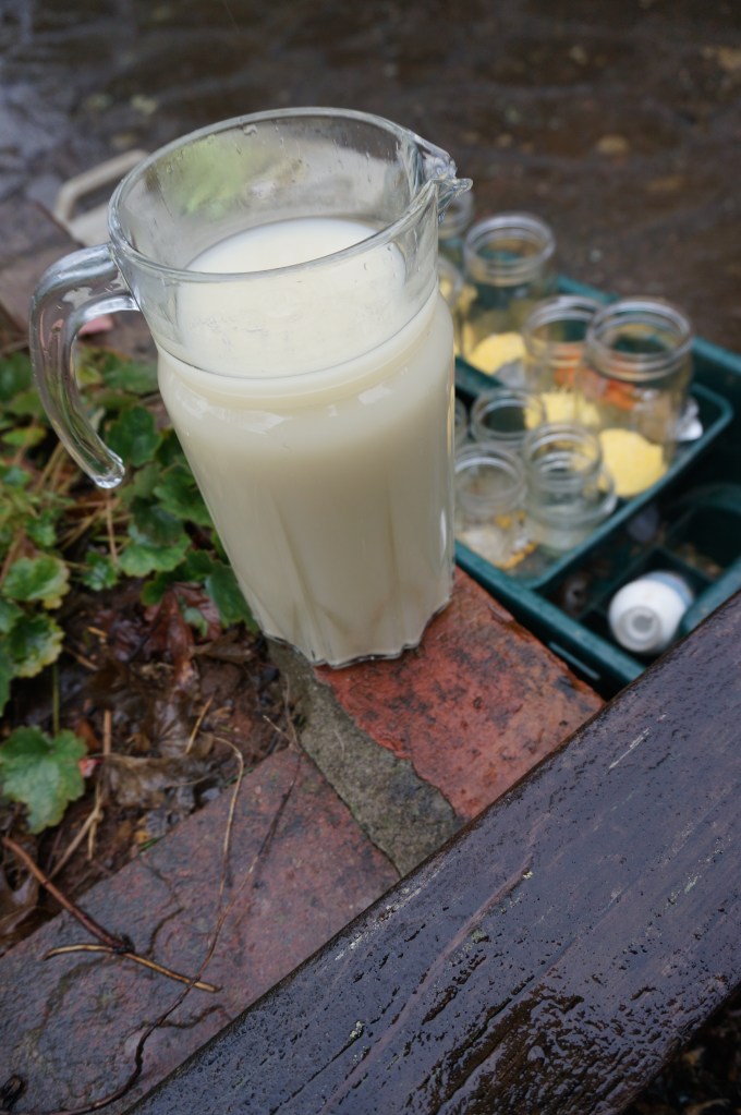 Slugs, Begone! – A Bright Ray of Hope