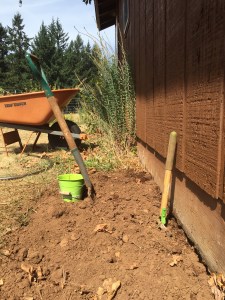 Irises, Earthworms, Estivation! – A Bright Ray of Hope