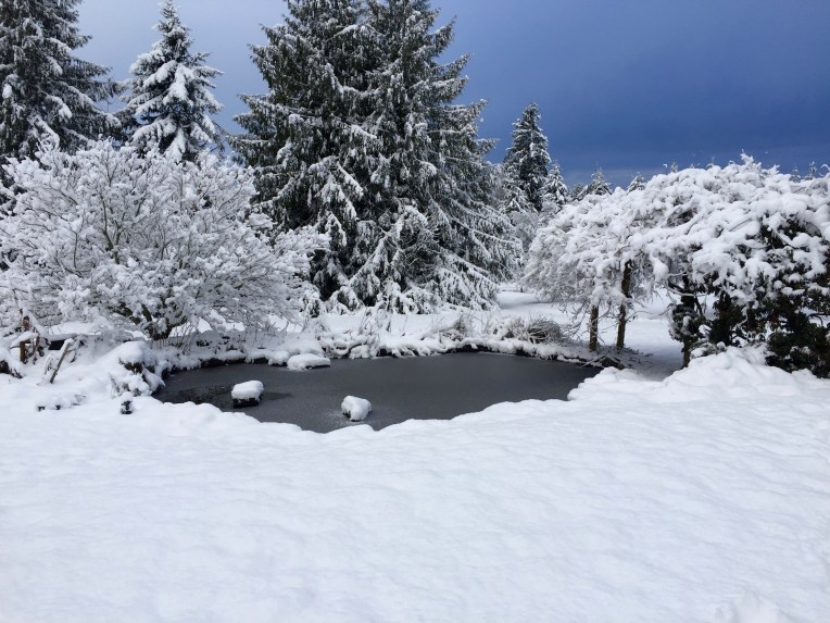 Goodbye, Winter – A Bright Ray of Hope